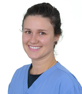 Meet St. Clair Veterinary Group Team